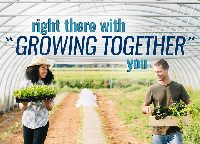 Middlesex Savings Bank | MA Personal And Business Banking | Loans